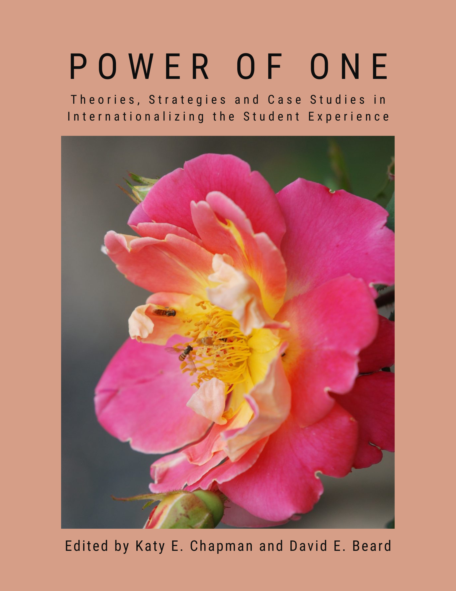 Power of One: Theories, Strategies and Case Studies in ...